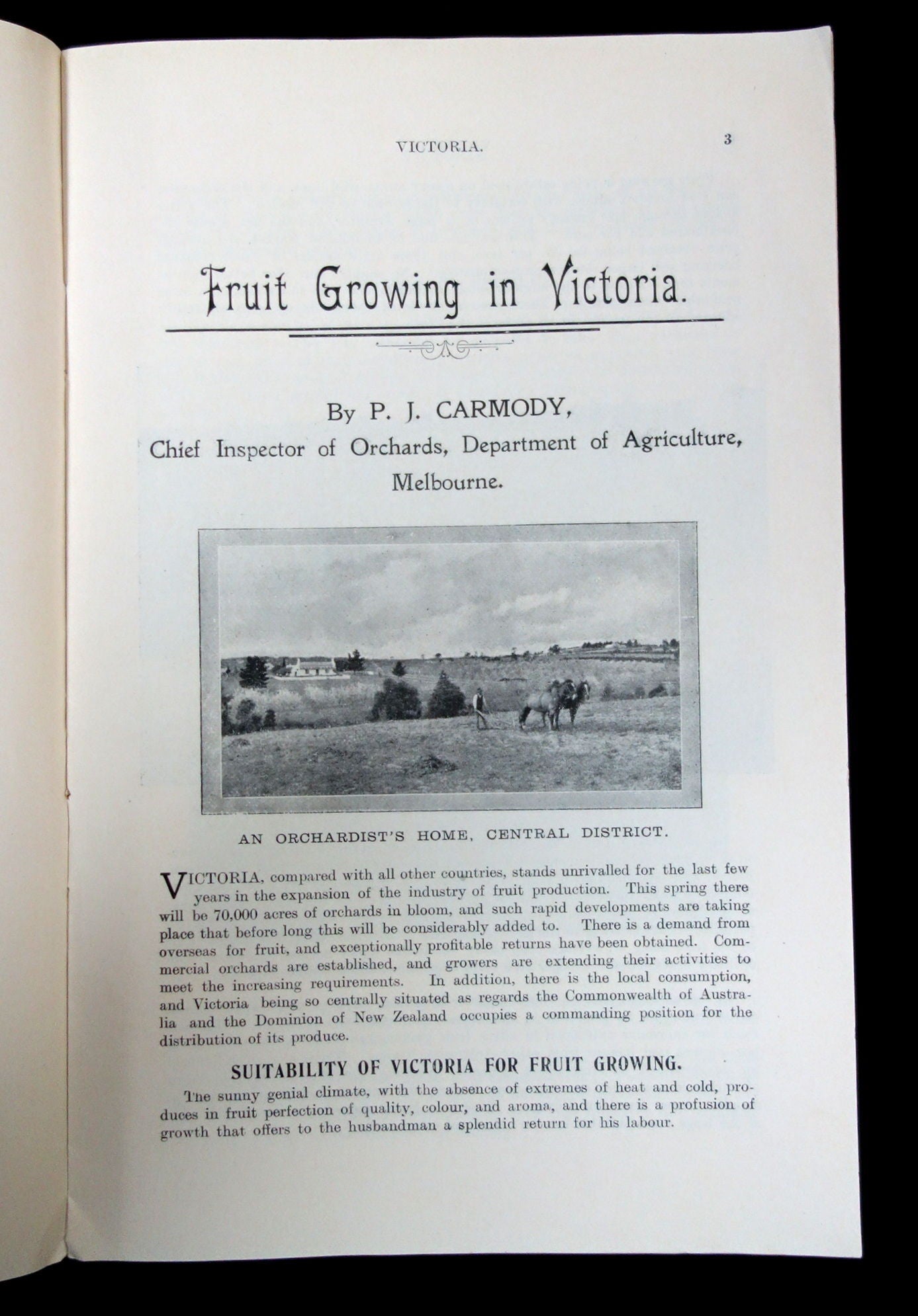 Fruit Growing in Victoria | Patrick Joseph Carmody